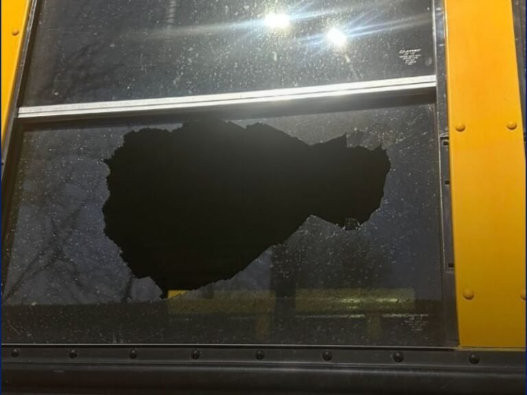 New Jersey School Bus Rock Attack Leaves 8-Year-Old Girl With Fractured ...